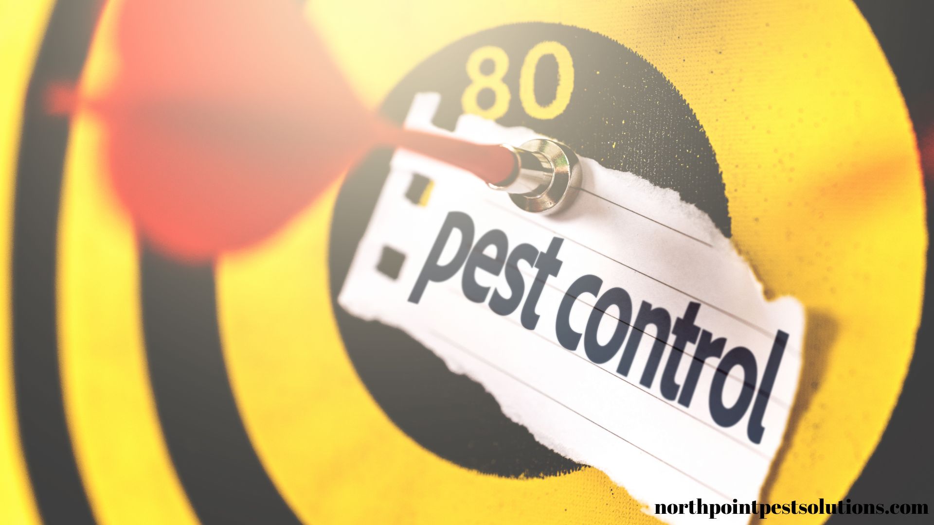 5 Reasons Why You Should Consider Hiring a Pest Control Company | CA ...