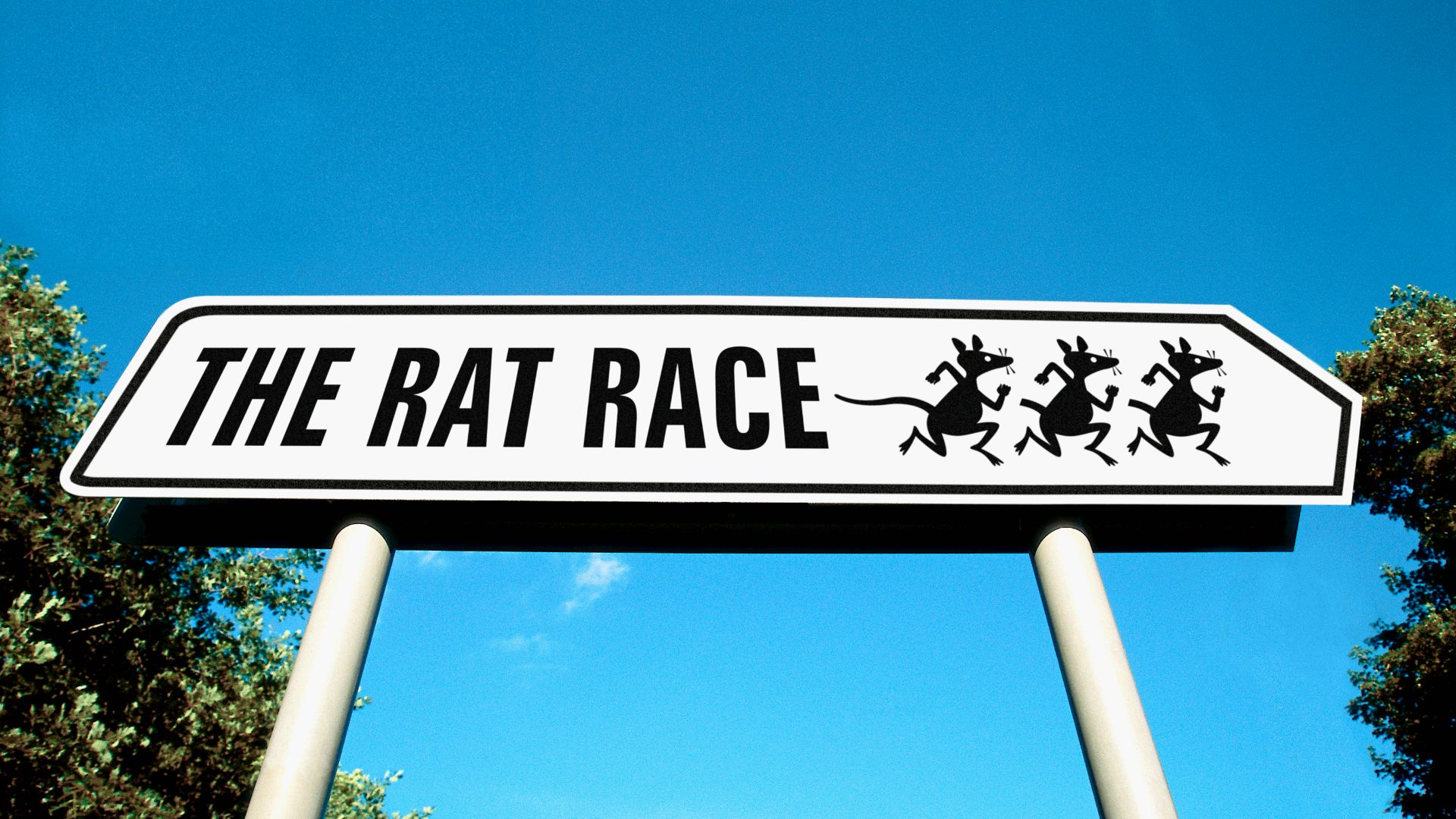 Rat Race? How to Prevent Rodent Infestations Before They Start